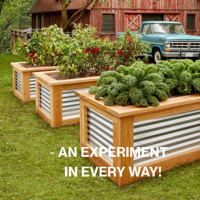 Raised Bed Gardening in Self-Irrigating Planters - Columbine Garden Club
